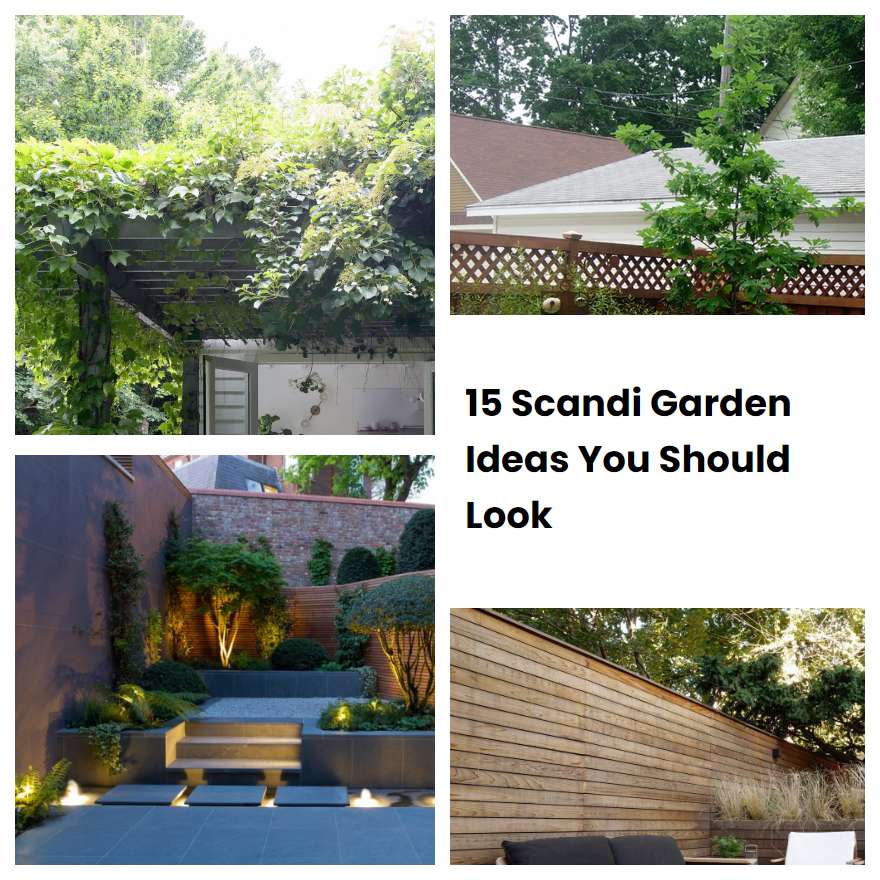15 Scandi Garden Ideas You Should Look | SharonSable