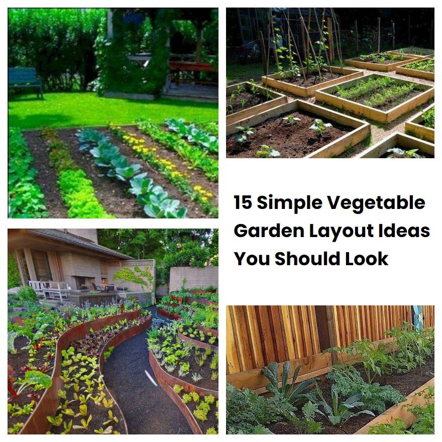 15 Simple Vegetable Garden Layout Ideas You Should Look Sharonsable