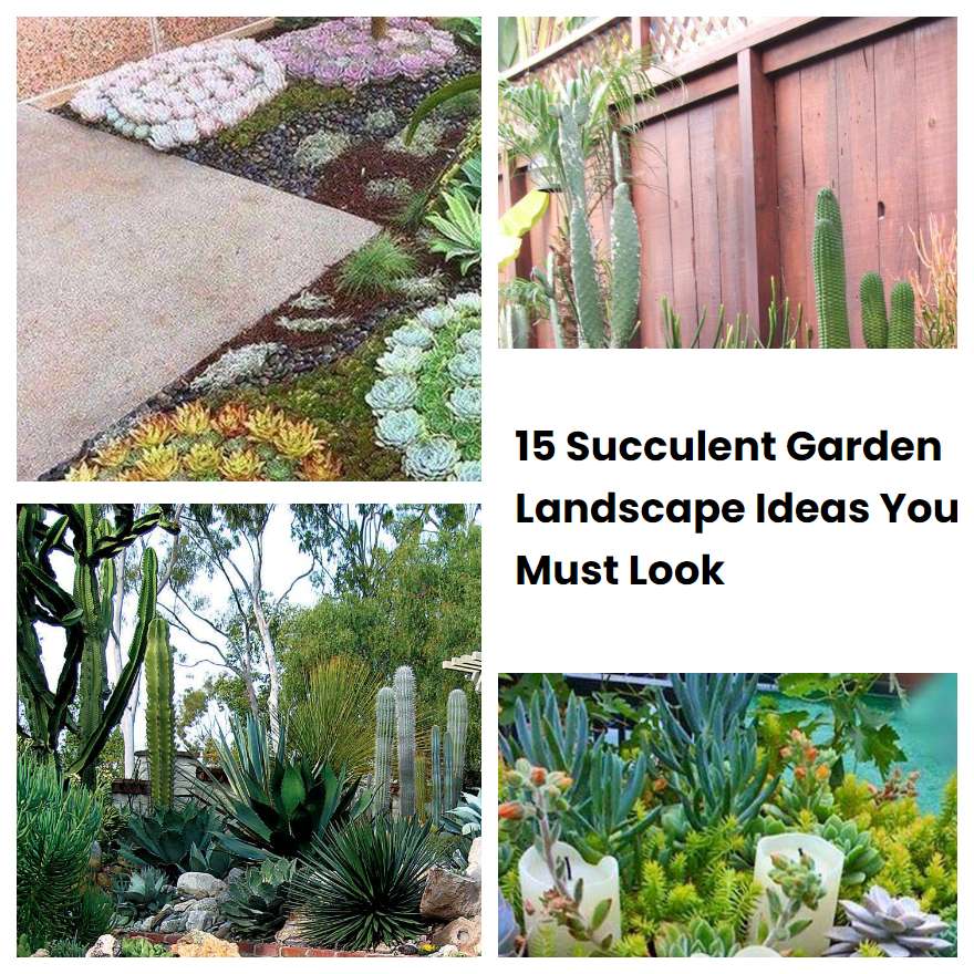 15 Succulent Garden Landscape Ideas You Must Look | SharonSable