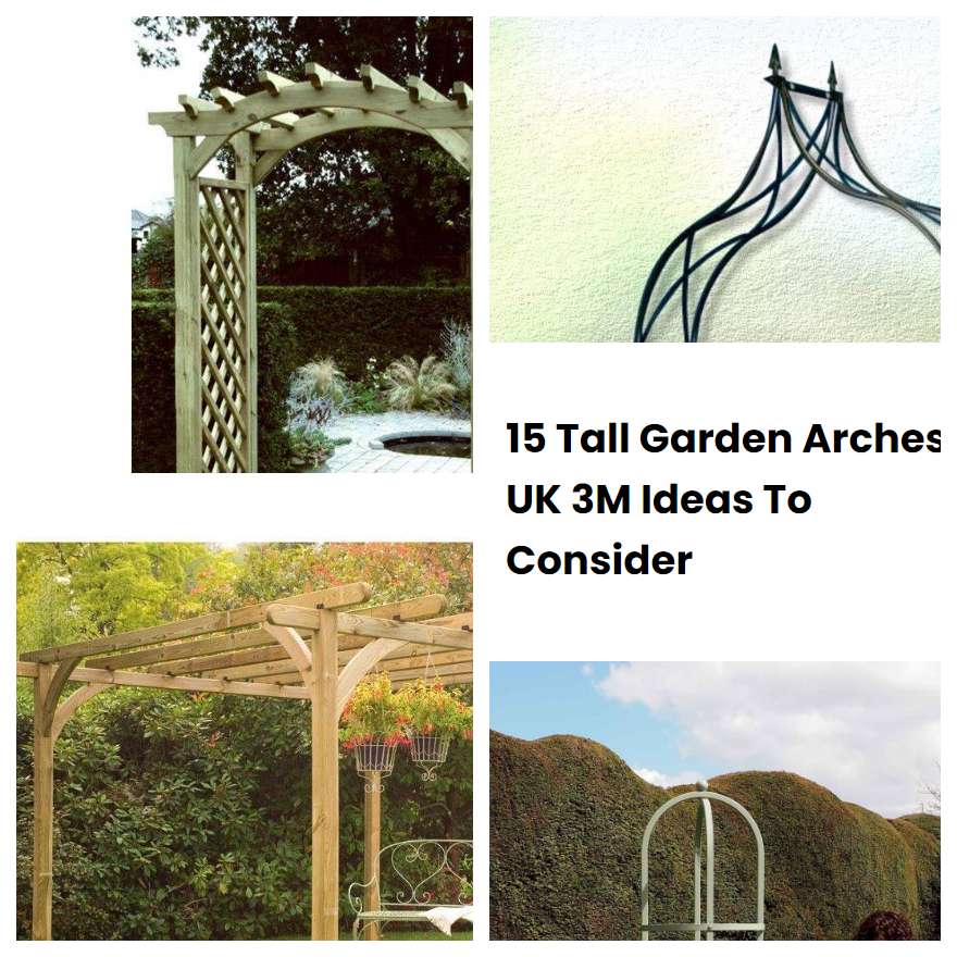 15 Tall Garden Arches UK 3M Ideas To Consider | SharonSable