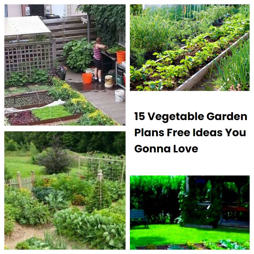 15 Vegetable Garden Plans Free Ideas You Gonna Love | SharonSable