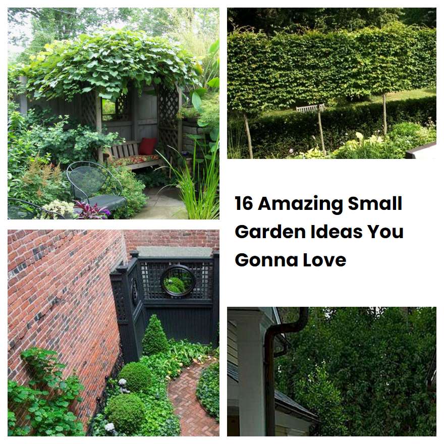 16 Amazing Small Garden Ideas You Gonna Love | SharonSable