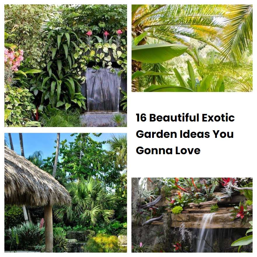 16 Beautiful Exotic Garden Ideas You Gonna Love | SharonSable