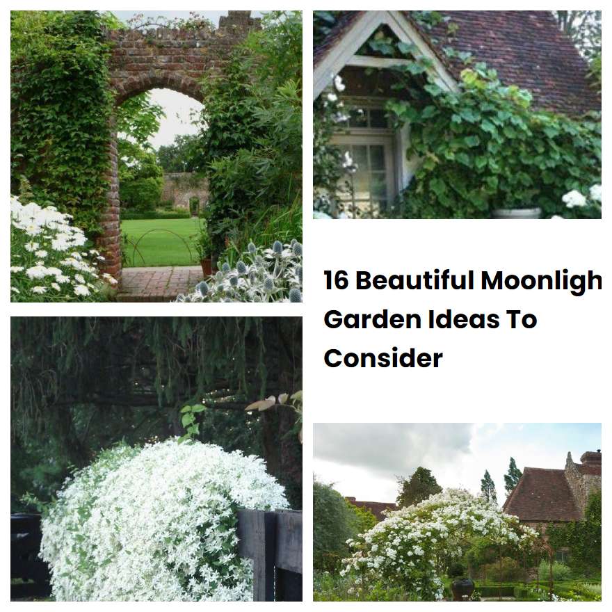 16 Beautiful Moonlight Garden Ideas To Consider | SharonSable