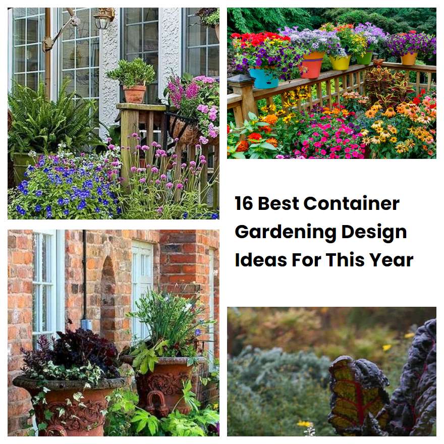 16 Best Container Gardening Design Ideas For This Year | SharonSable