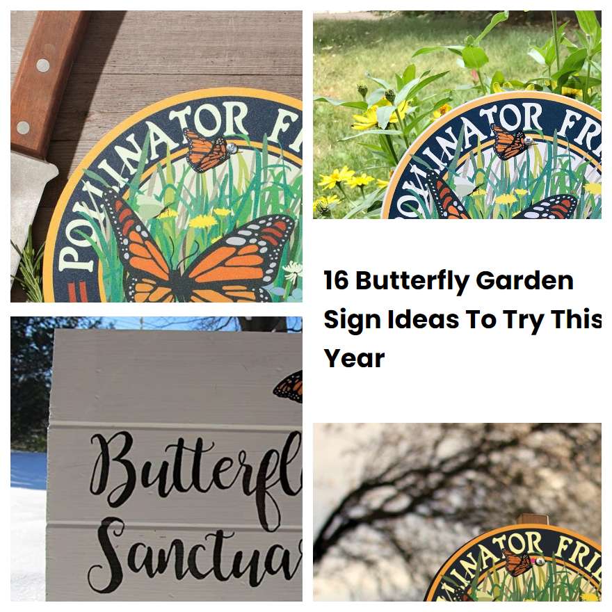 16 Butterfly Garden Sign Ideas To Try This Year | SharonSable