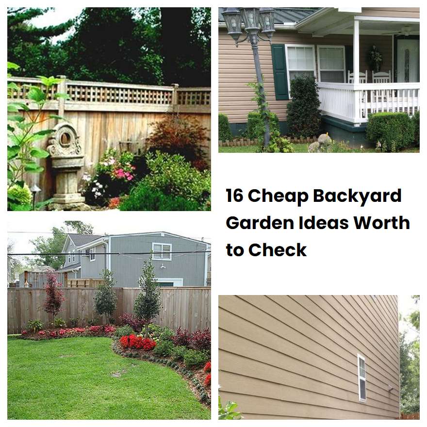 16 Cheap Backyard Garden Ideas Worth to Check | SharonSable