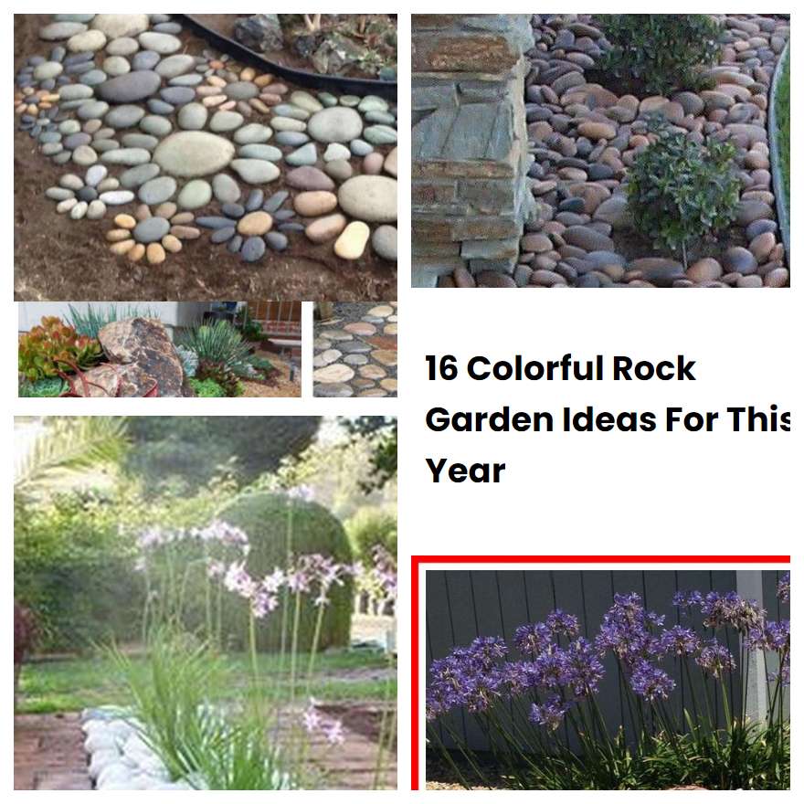 16 Colorful Rock Garden Ideas For This Year | SharonSable