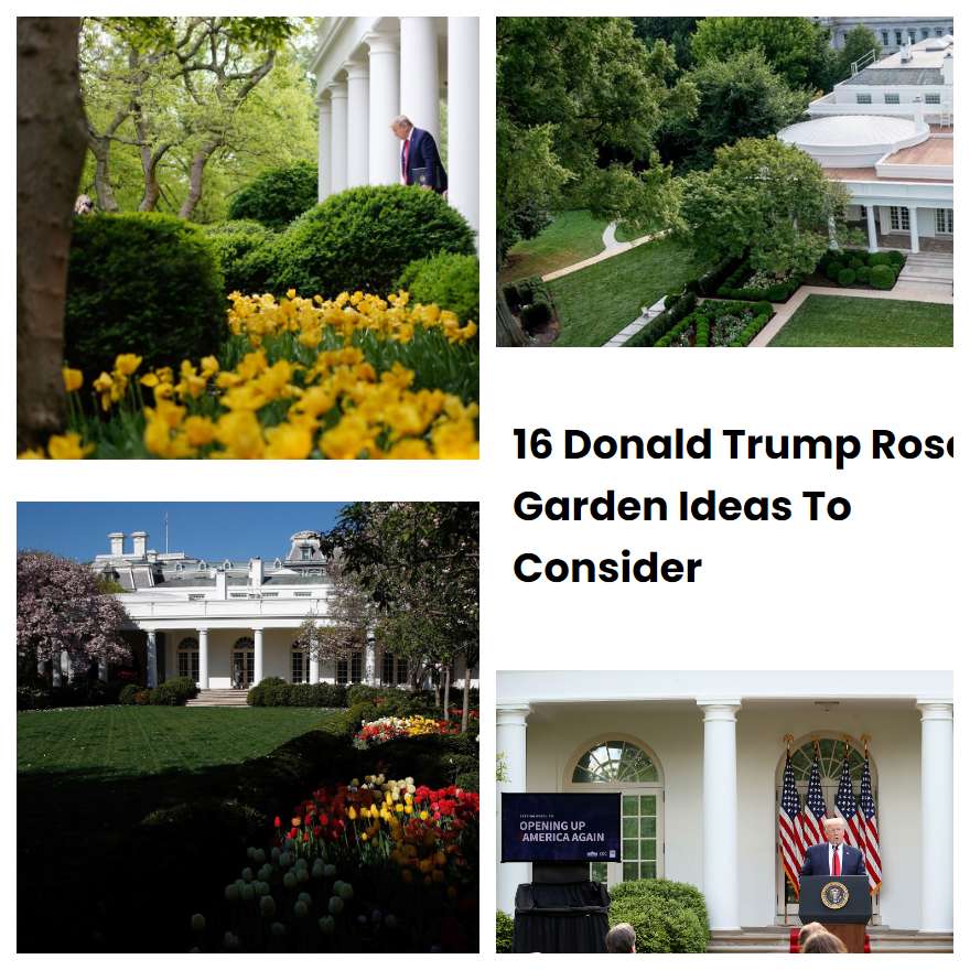 16 Donald Trump Rose Garden Ideas To Consider | SharonSable