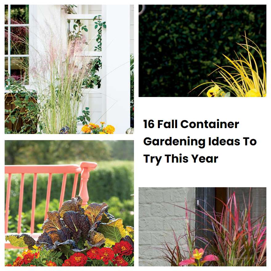 16 Fall Container Gardening Ideas To Try This Year | SharonSable