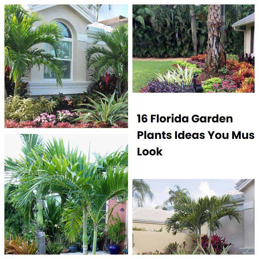 16 Florida Garden Plants Ideas You Must Look | SharonSable
