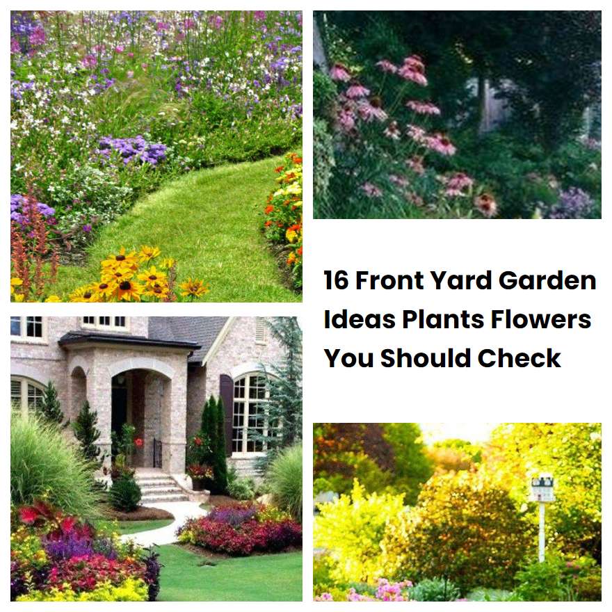 16 Front Yard Garden Ideas Plants Flowers You Should Check | SharonSable