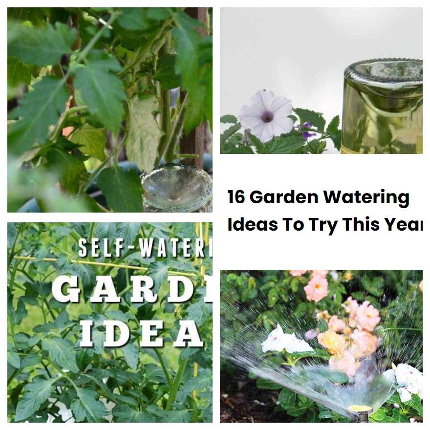 16 Garden Watering Ideas To Try This Year | SharonSable