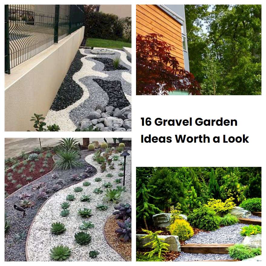 16 Gravel Garden Ideas Worth a Look | SharonSable
