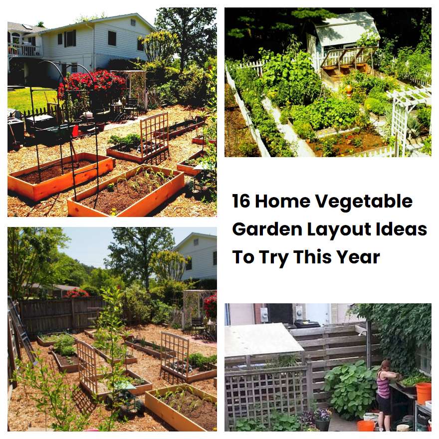 16 Home Vegetable Garden Layout Ideas To Try This Year | SharonSable