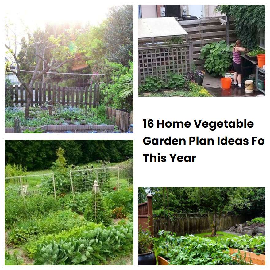 16 Home Vegetable Garden Plan Ideas For This Year | SharonSable