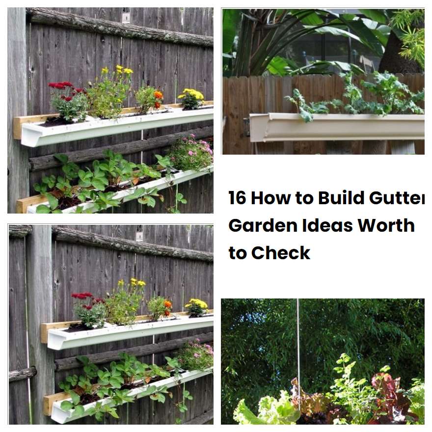 16 How to Build Gutter Garden Ideas Worth to Check | SharonSable