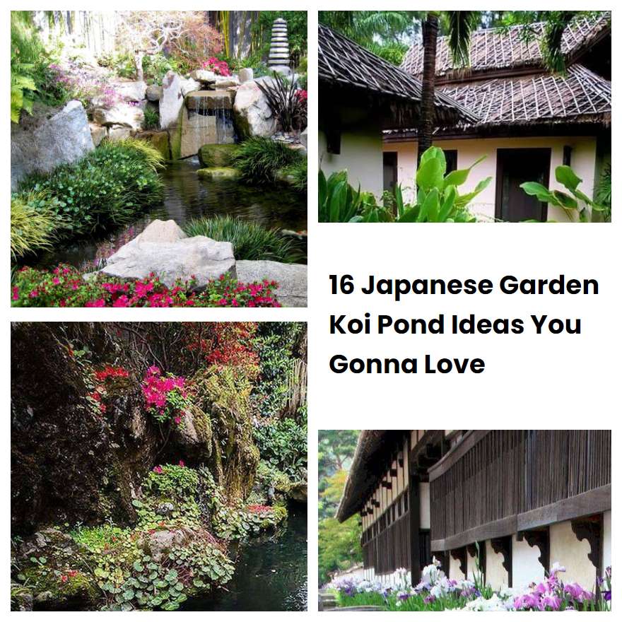16 Japanese Garden Koi Pond Ideas You Gonna Love | SharonSable