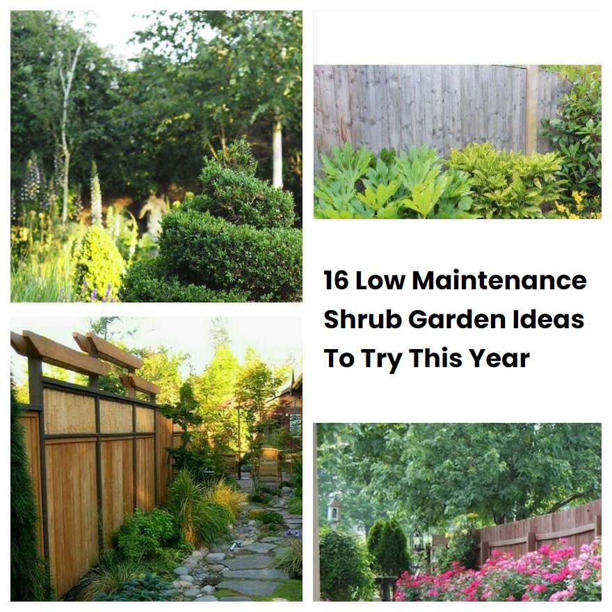 16 Low Maintenance Shrub Garden Ideas To Try This Year | SharonSable