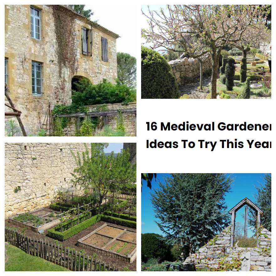 16 Medieval Gardener Ideas To Try This Year | SharonSable