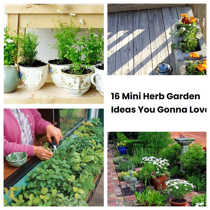 16 Mini Herb Garden Ideas You Gonna Love | SharonSable