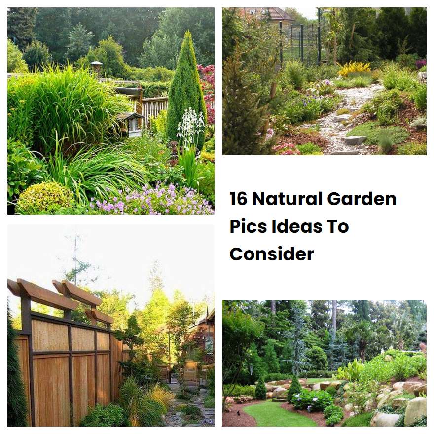 16 Natural Garden Pics Ideas To Consider | SharonSable