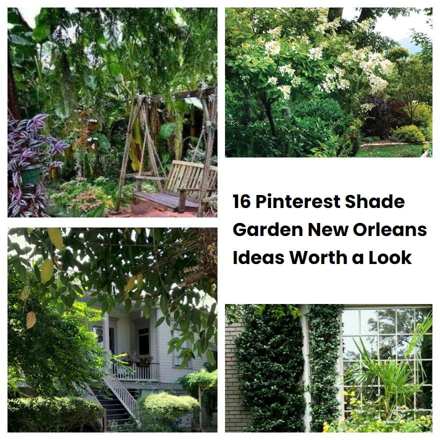 16 Pinterest Shade Garden New Orleans Ideas Worth a Look | SharonSable