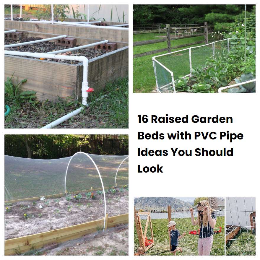 16 Raised Garden Beds with PVC Pipe Ideas You Should Look | SharonSable