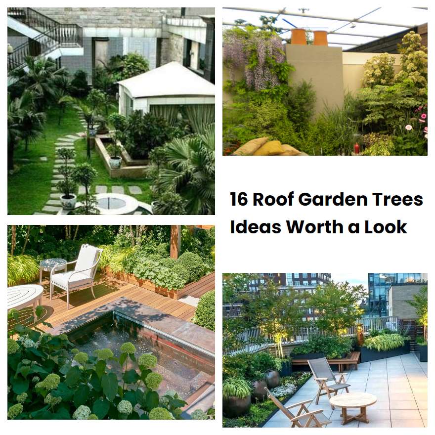 17 Missouri Botanical Garden Plant Finder Ideas You Cannot Miss ...