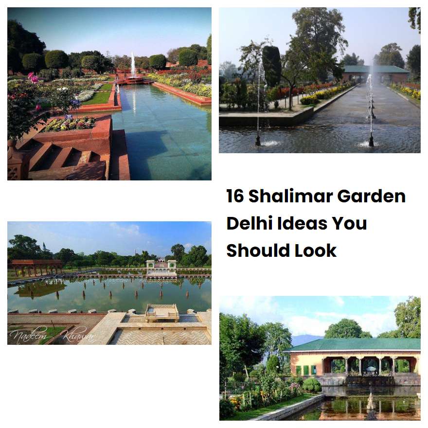 16 Shalimar Garden Delhi Ideas You Should Look | SharonSable