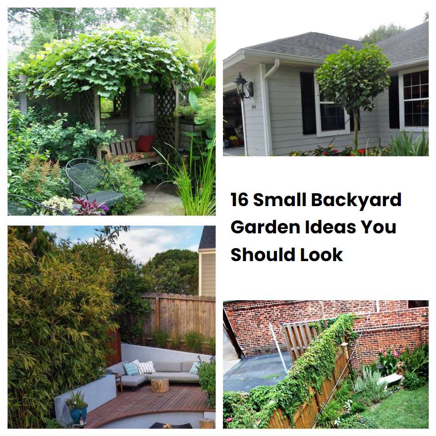 16 Small Backyard Garden Ideas You Should Look | SharonSable