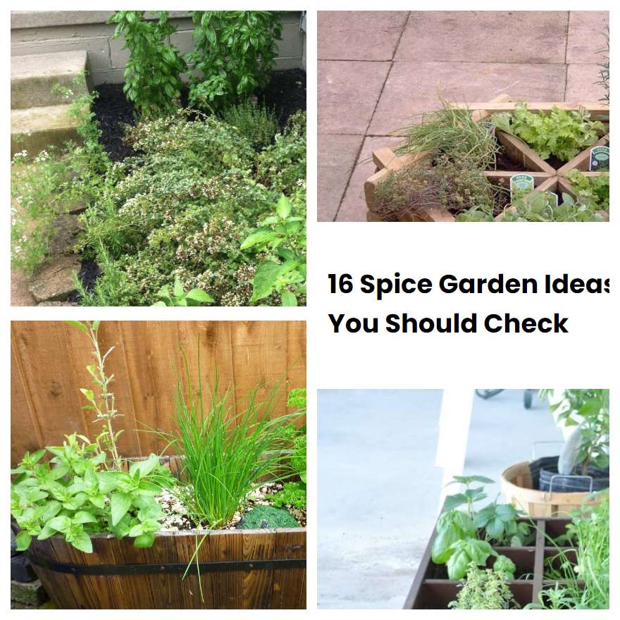 16 Spice Garden Ideas You Should Check | SharonSable