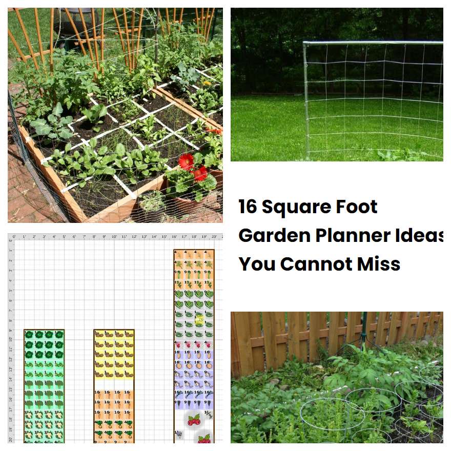 16 Square Foot Garden Planner Ideas You Cannot Miss | SharonSable