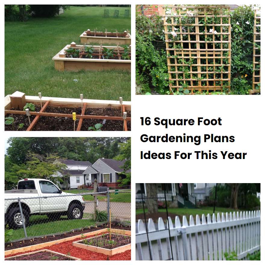 16 Square Foot Gardening Plans Ideas For This Year | SharonSable