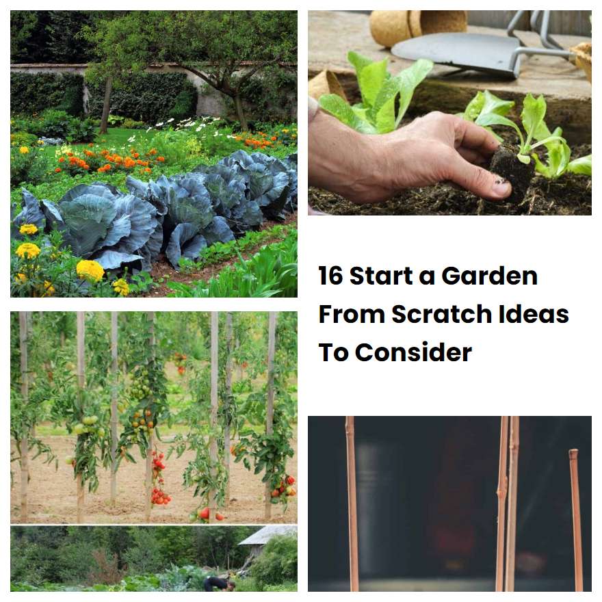 16 Start A Garden From Scratch Ideas To Consider Sharonsable