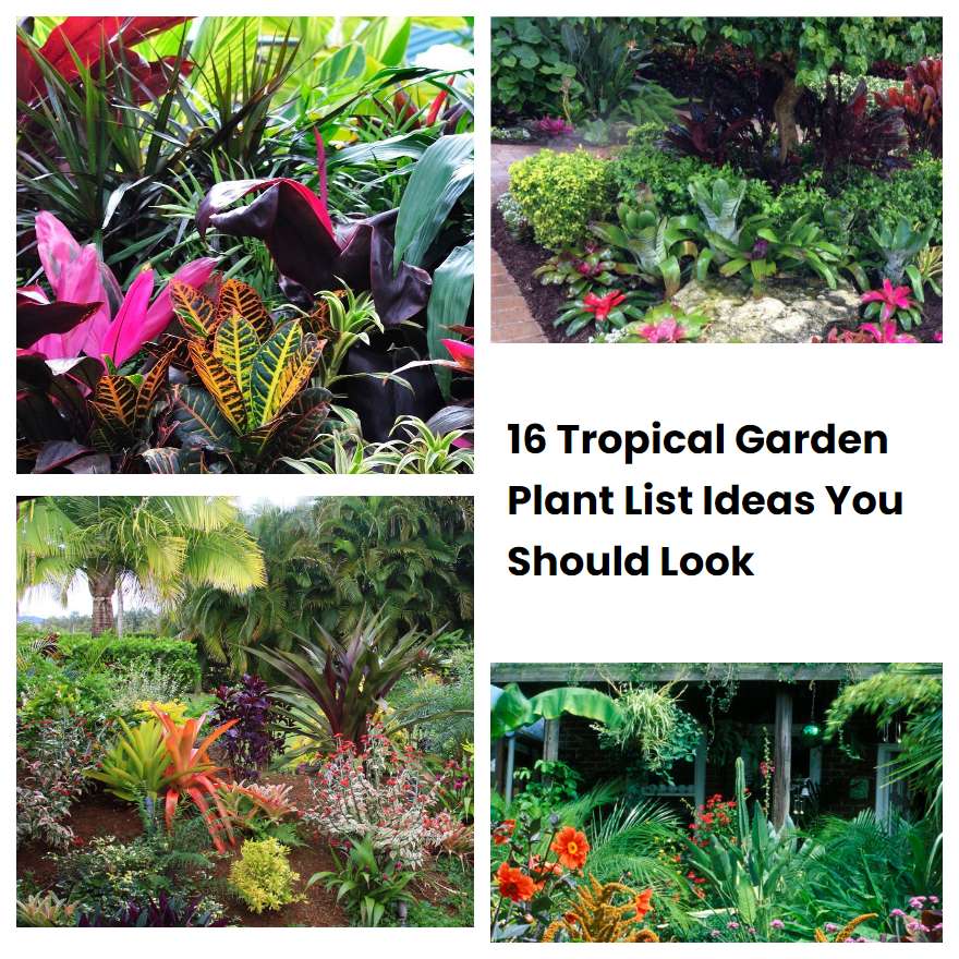 16 Tropical Garden Plant List Ideas You Should Look | SharonSable