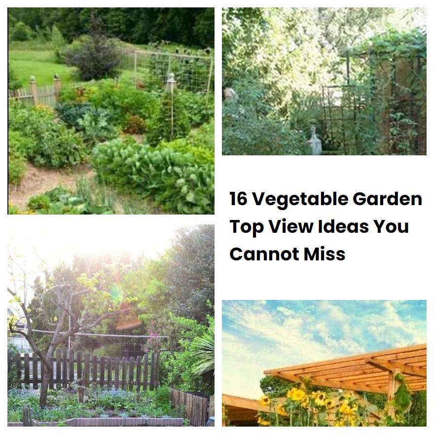 16 Vegetable Garden Top View Ideas You Cannot Miss | SharonSable