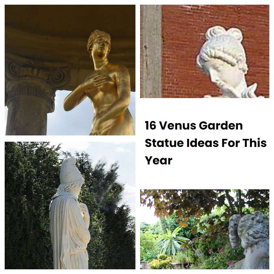 16 Venus Garden Statue Ideas For This Year | SharonSable