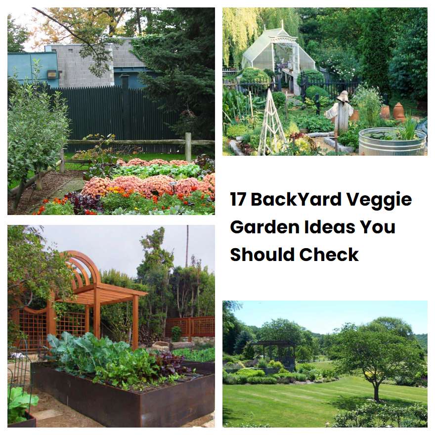 24 Cinder Block Garden Fence Ideas Worth a Look | SharonSable