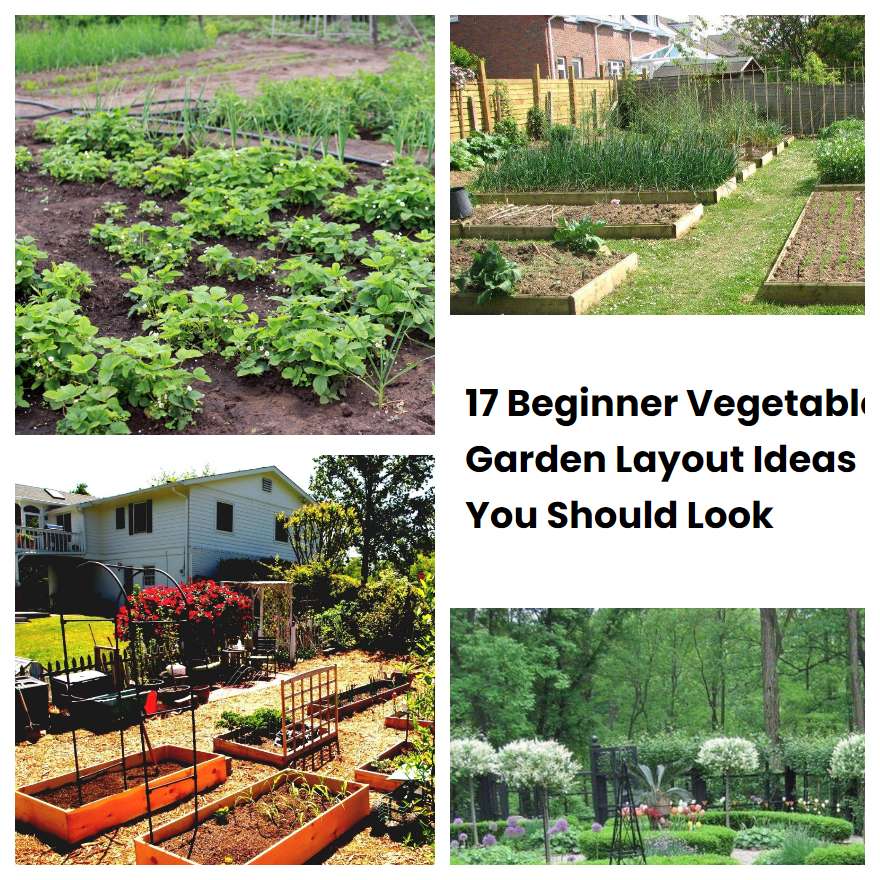 17 Beginner Vegetable Garden Layout Ideas You Should Look | SharonSable