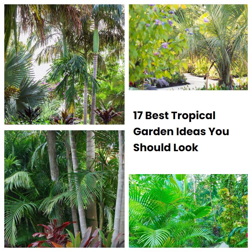 17 Best Tropical Garden Ideas You Should Look | SharonSable