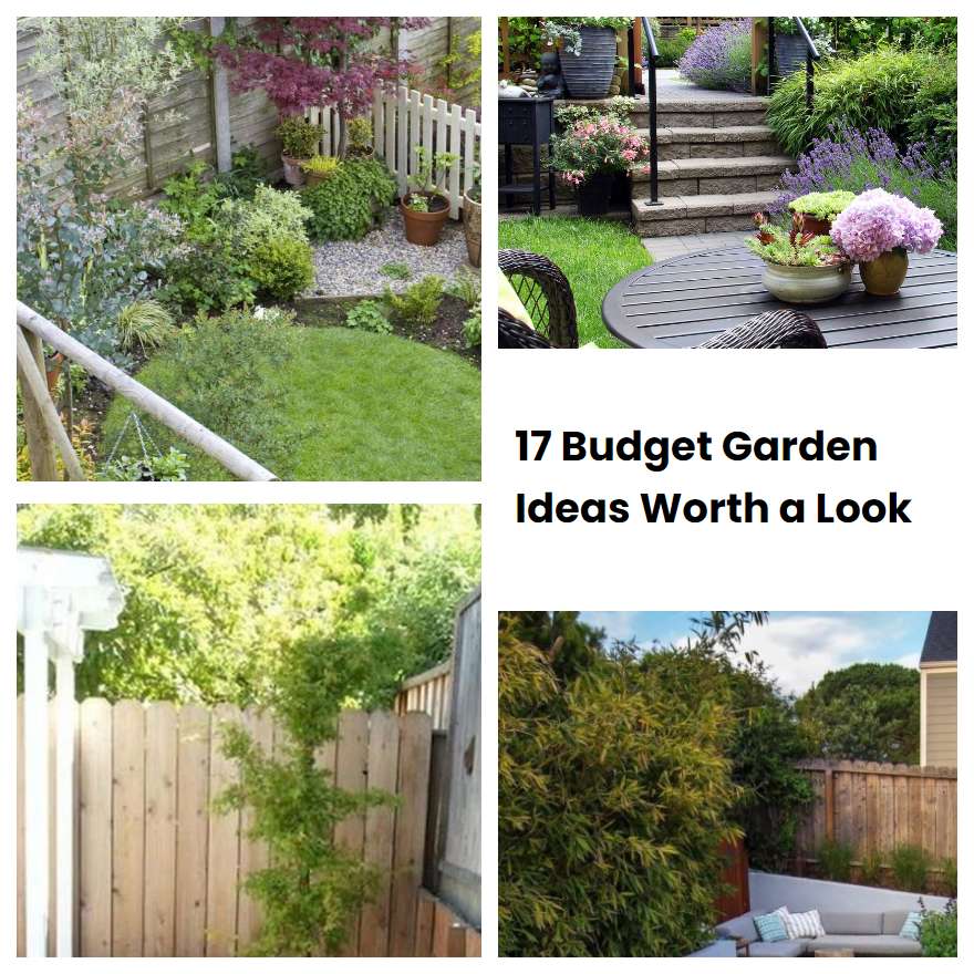 17 Budget Garden Ideas Worth a Look | SharonSable