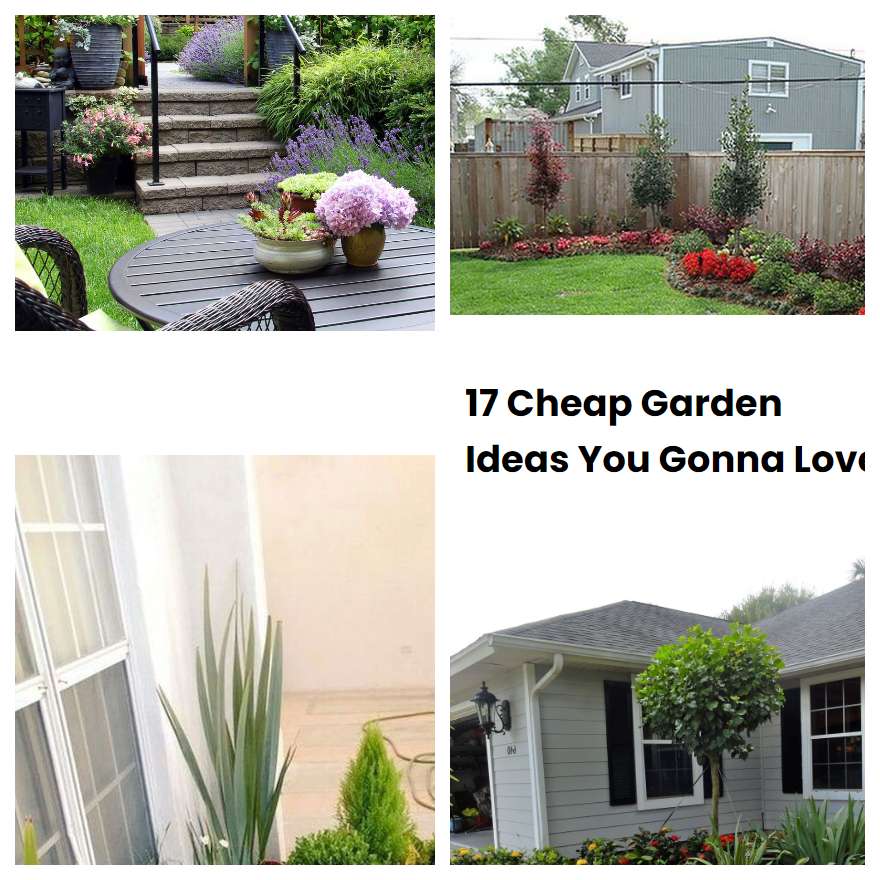 17 Cheap Garden Ideas You Gonna Love | SharonSable