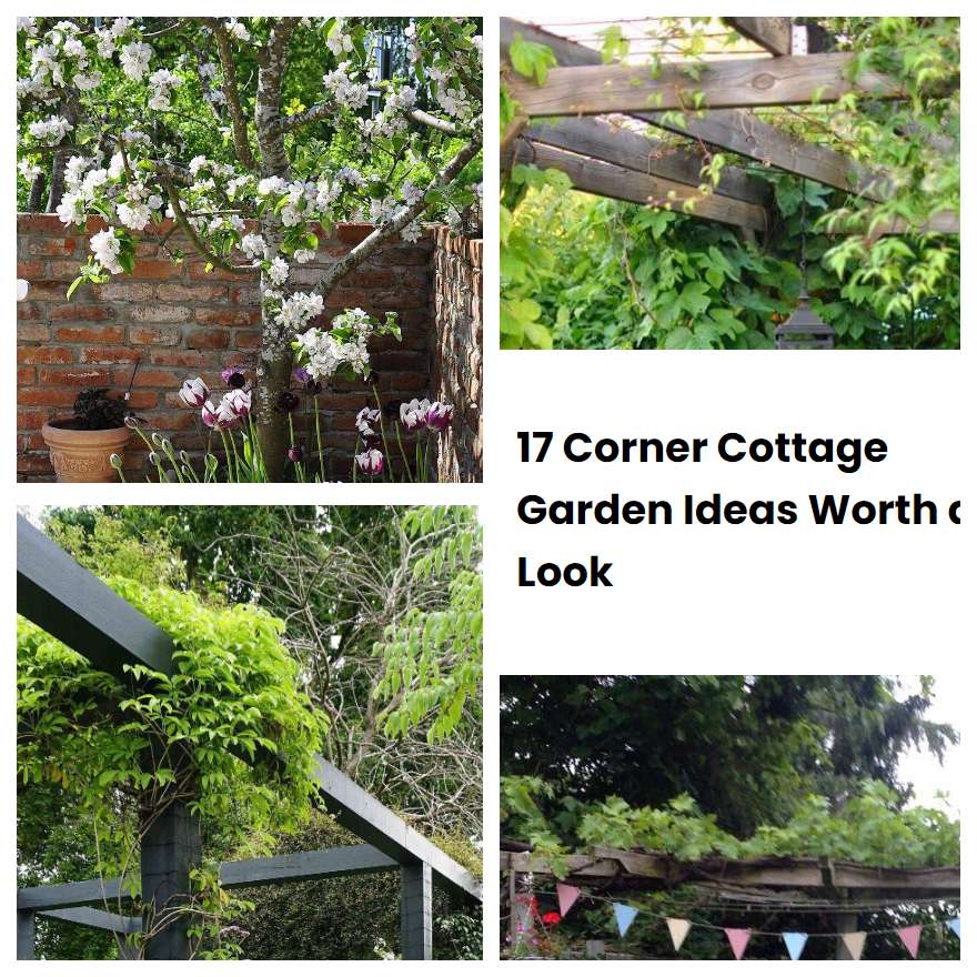 17 Corner Cottage Garden Ideas Worth a Look | SharonSable
