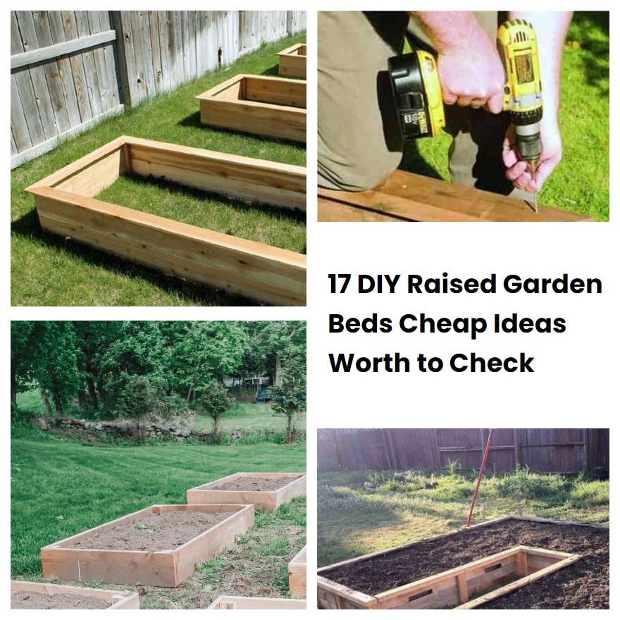 17 DIY Raised Garden Beds Cheap Ideas Worth to Check | SharonSable
