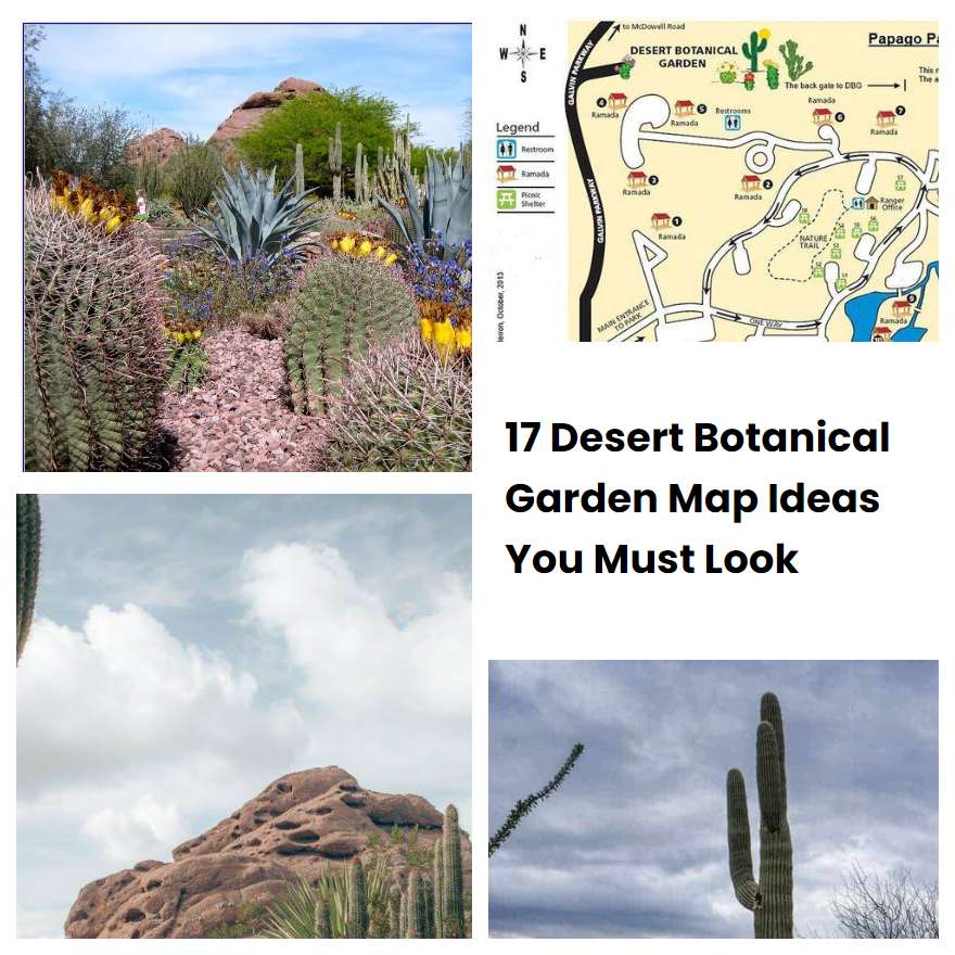 17 Desert Botanical Garden Map Ideas You Must Look | SharonSable