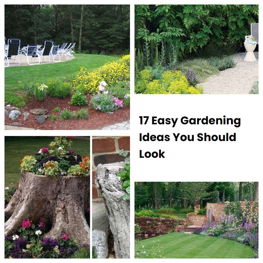 17 Easy Gardening Ideas You Should Look | SharonSable