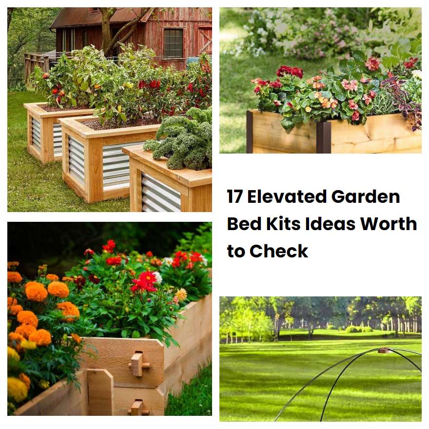 17 Elevated Garden Bed Kits Ideas Worth to Check | SharonSable