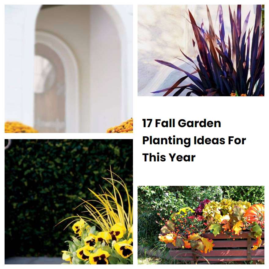 17 Fall Garden Planting Ideas For This Year | SharonSable