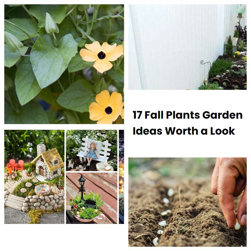 17 Fall Plants Garden Ideas Worth a Look | SharonSable